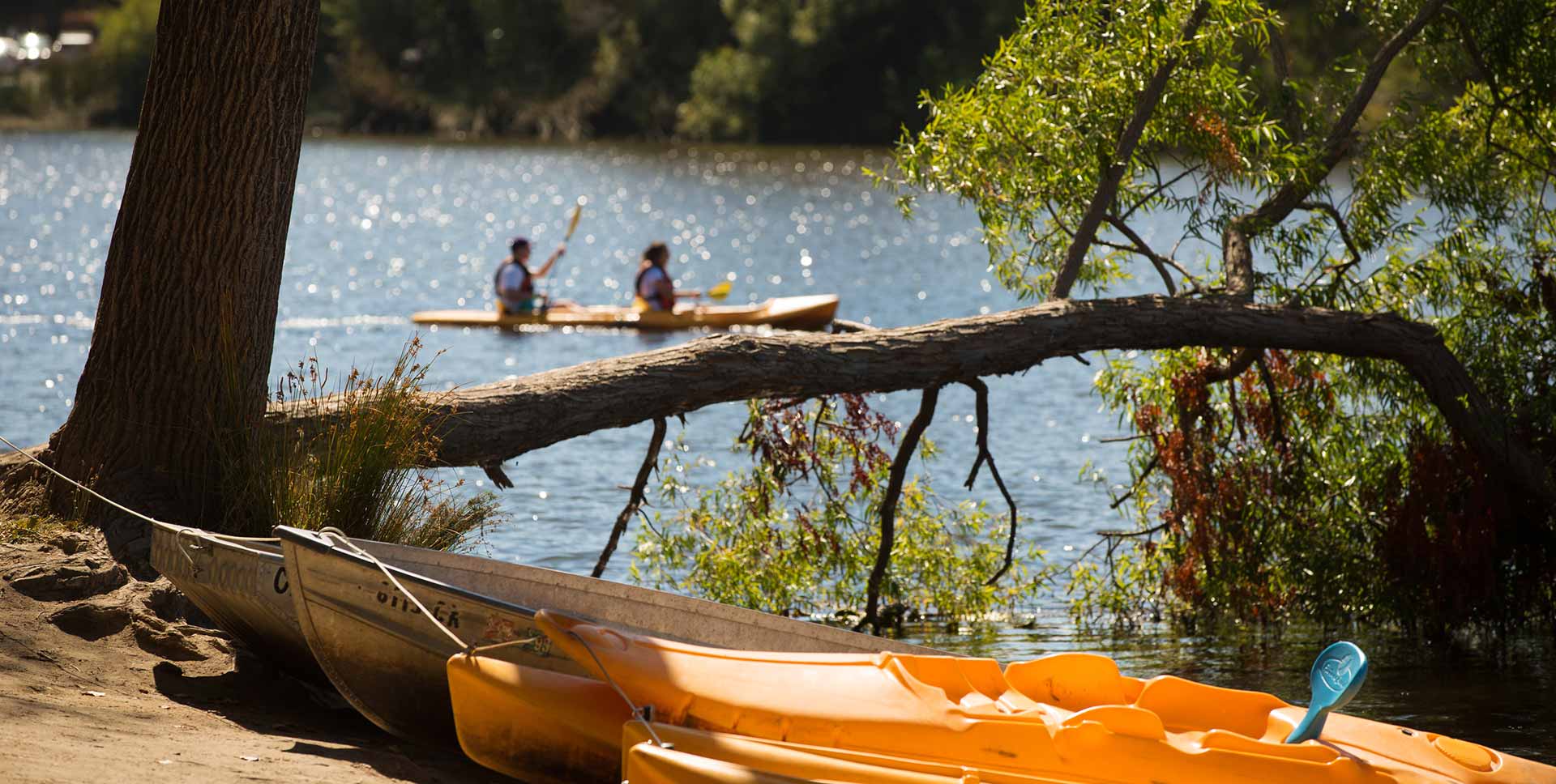 Spring Lake Regional Park – The Happy Campers' Club